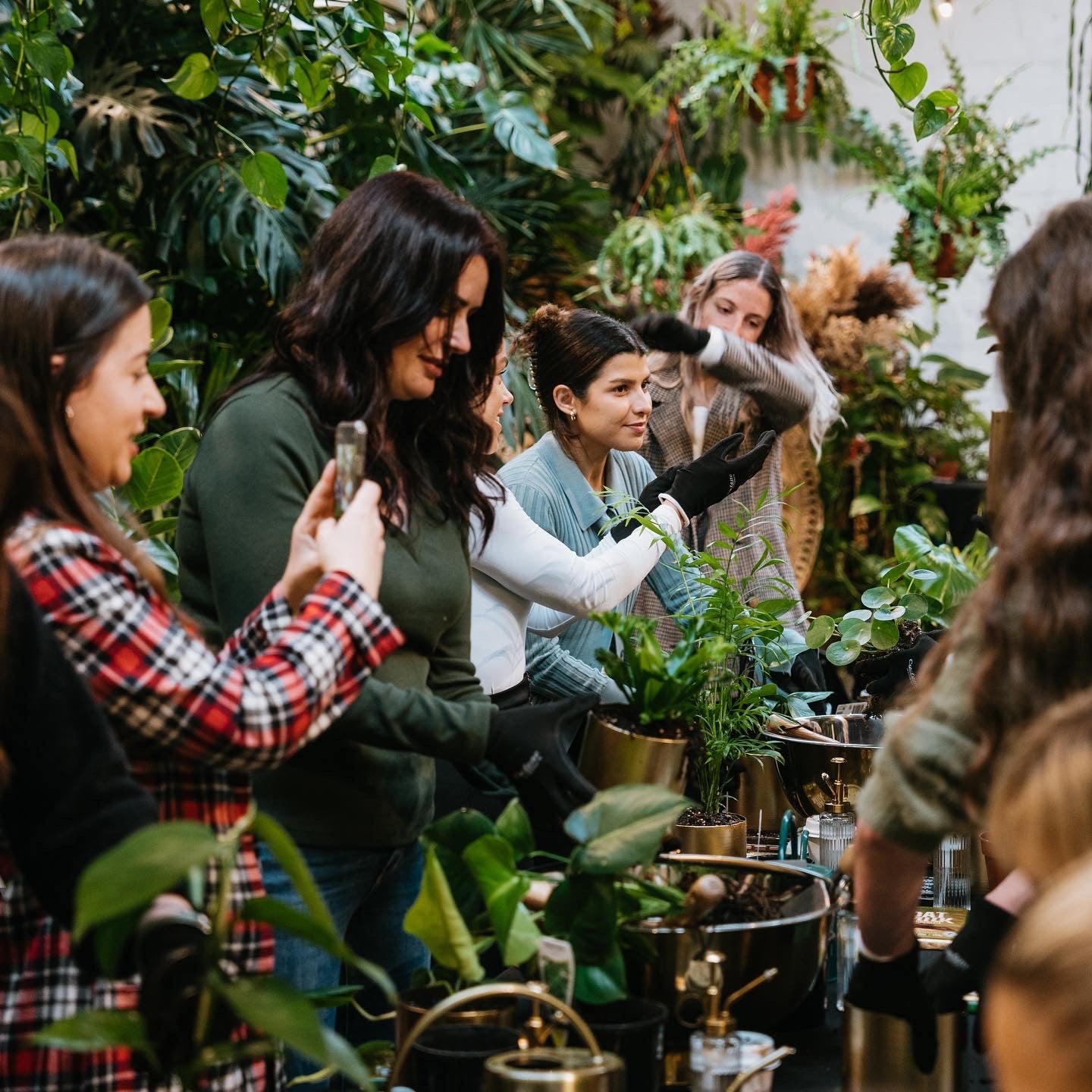 Workshops & Classes – Botanicah - Southside’s Biggest Plant Warehouse