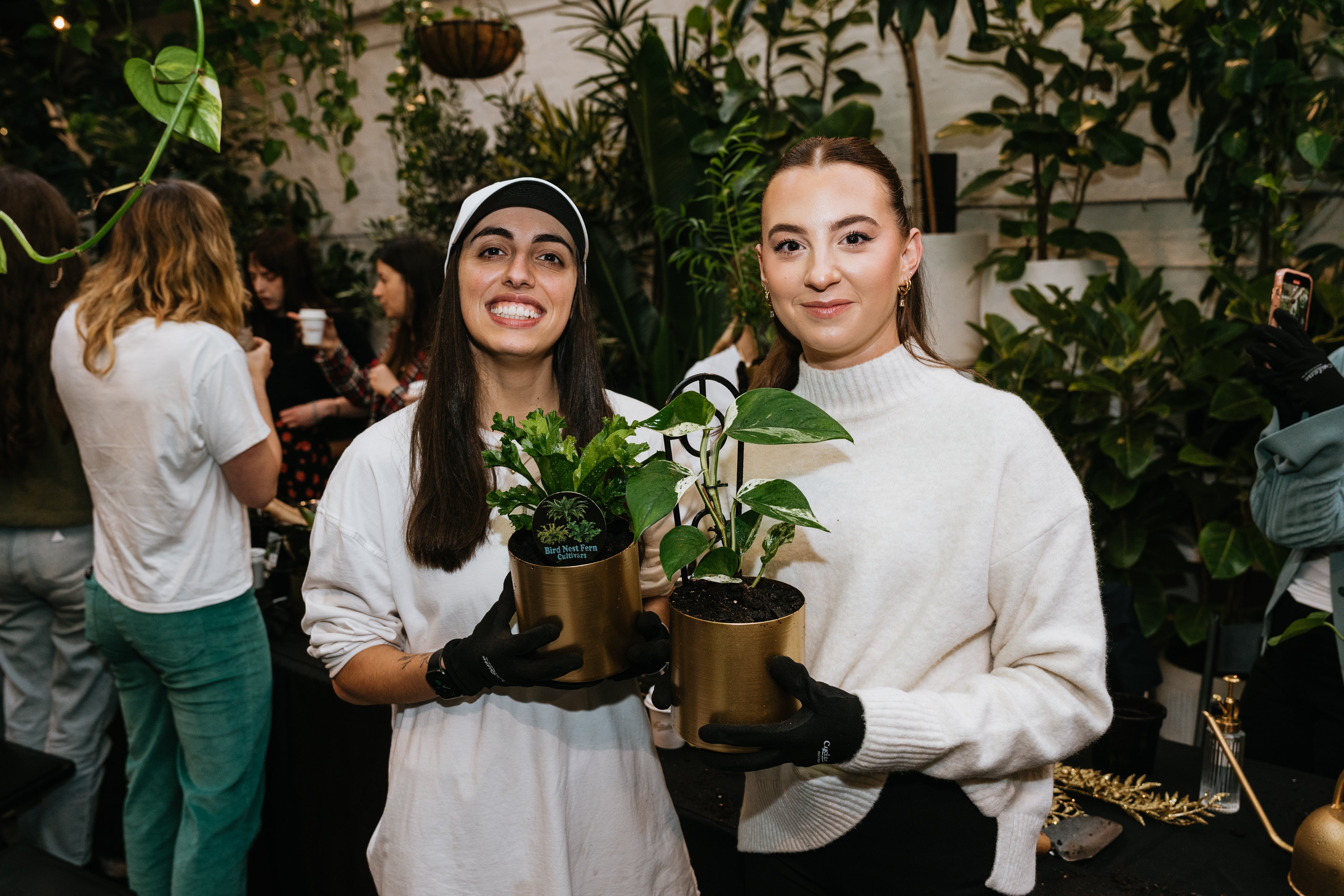 Botanicah - Southside's biggest plant warehouse - venue hire + plants ...