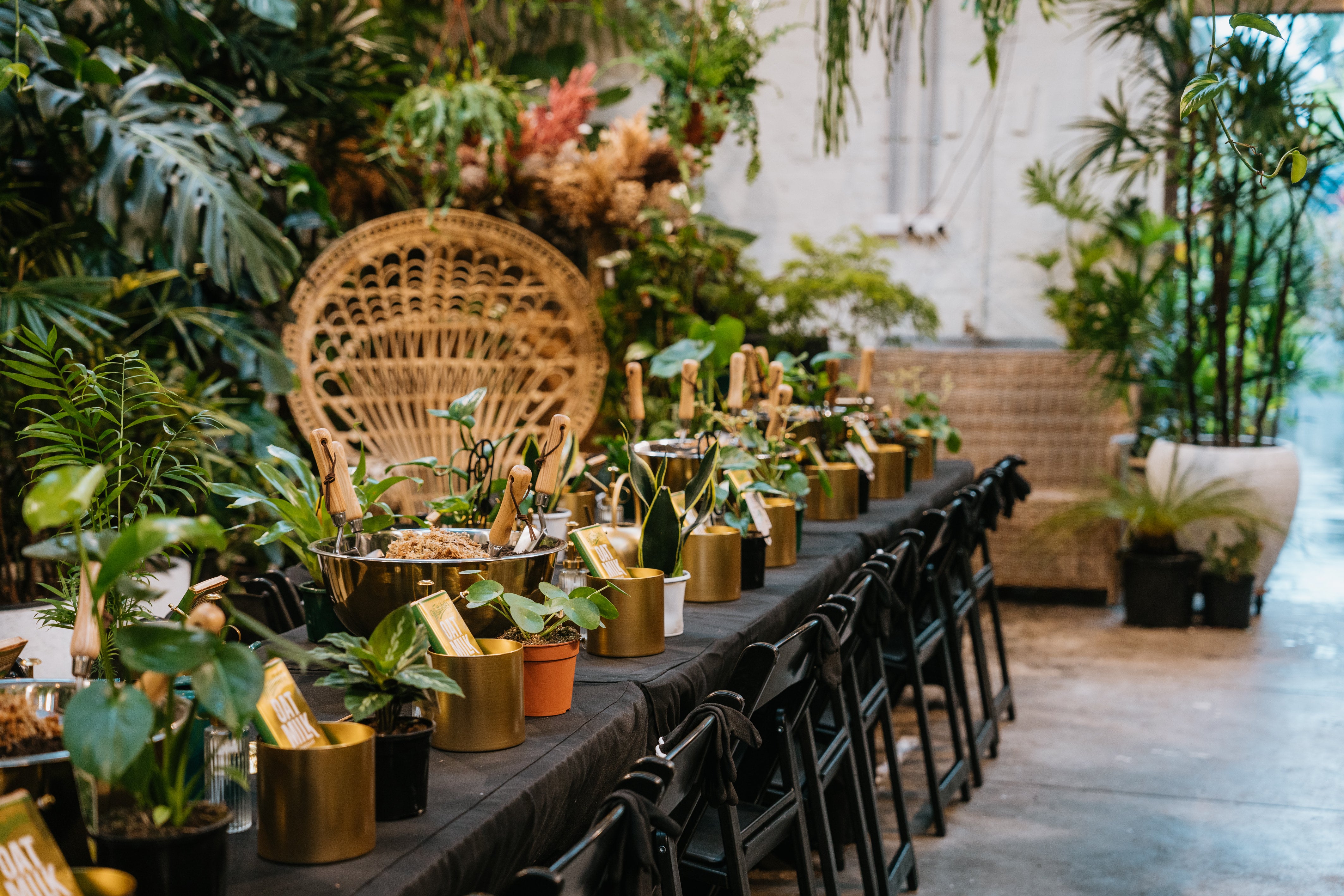 Venue Hire Equipment – Botanicah - Southside’s Biggest Plant Warehouse