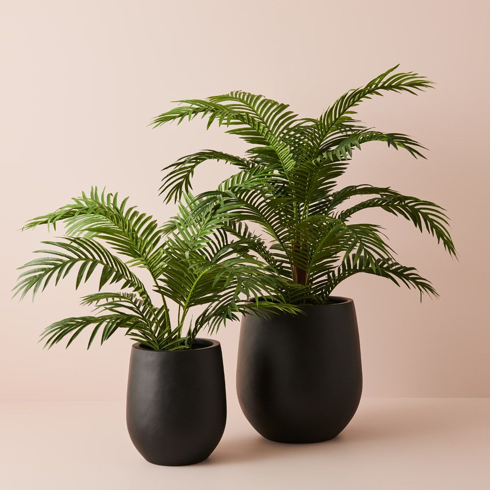 Sprout Pot – Botanicah - Southside’s Biggest Plant Warehouse